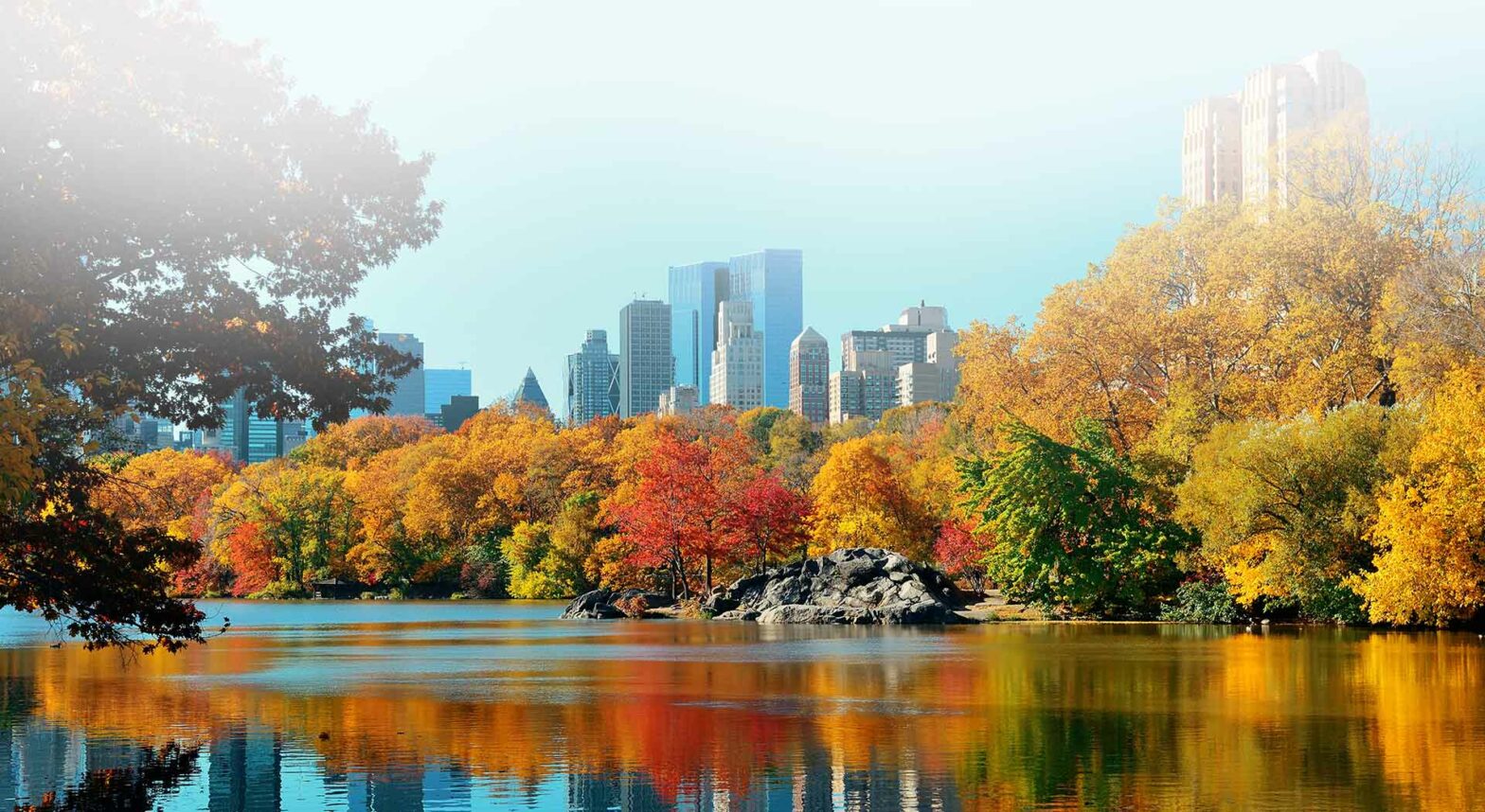 Gastroenterologist Near Me in Forest Hills NY (Austin Street)